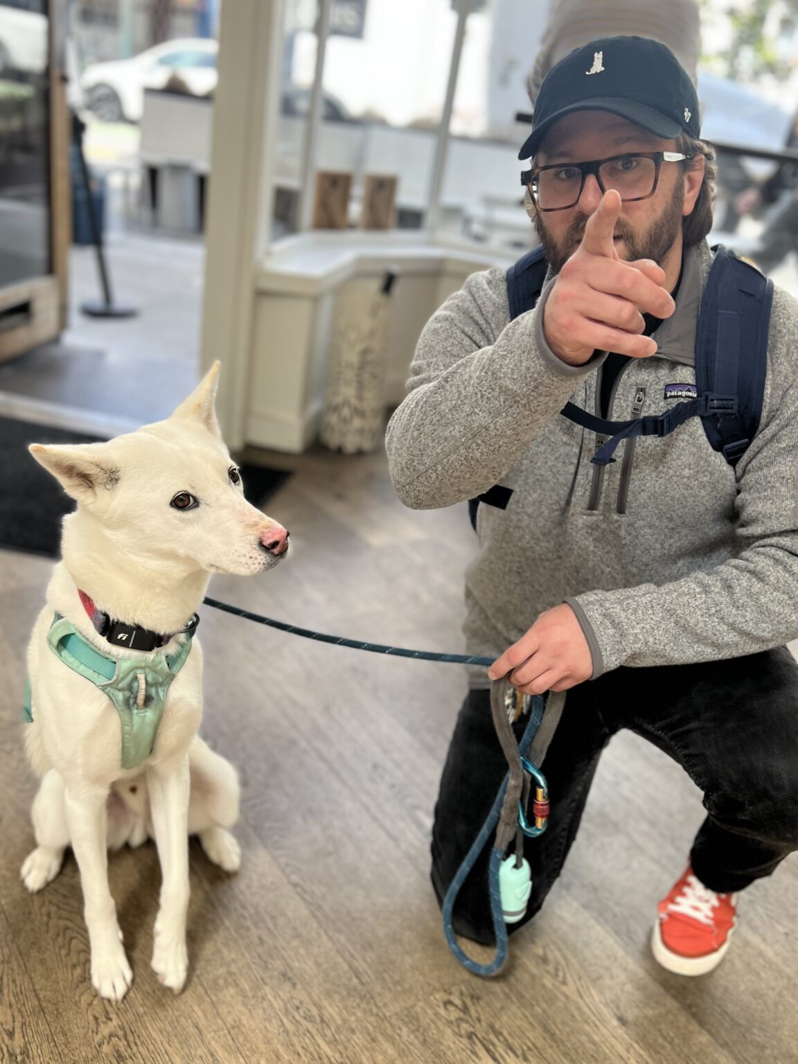 The Dogs of San Francisco | A blog about San Francisco's canine ...